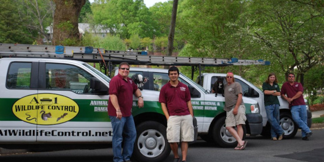 Wildlife Control, Chester, SC | A-1 Wildlife Control